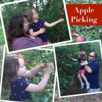 Apples, Apples, Apples!.. Fun Filled Apple Activities For the Entire ...