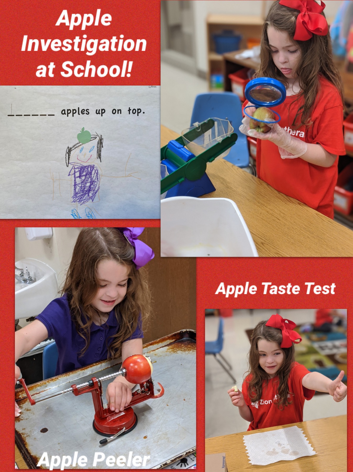 Apple Packed Days…Apple Picking, Apple Books, Apple Baking and Apple ...